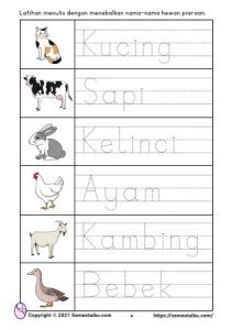 Kumpulan Lembar Kerja PAUD/TK Tema Binatang